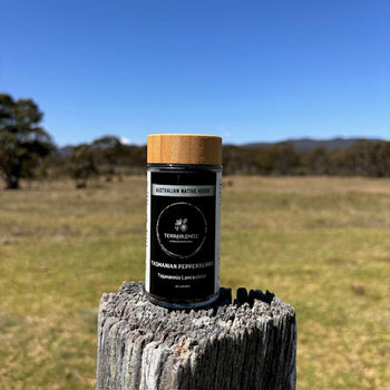 Native Pepper Australia: Tasmanian Pepperberry – Terrablendz