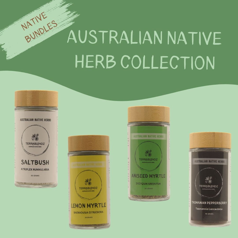 Australian Native Herb Collection | 4 Native Herbs | Terrablendz